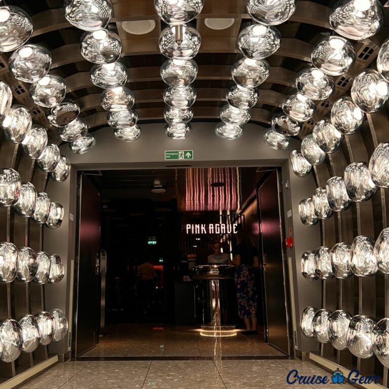 Pink Agave Virgin Voyages Menu, Virtual Tour - Cruise Gear