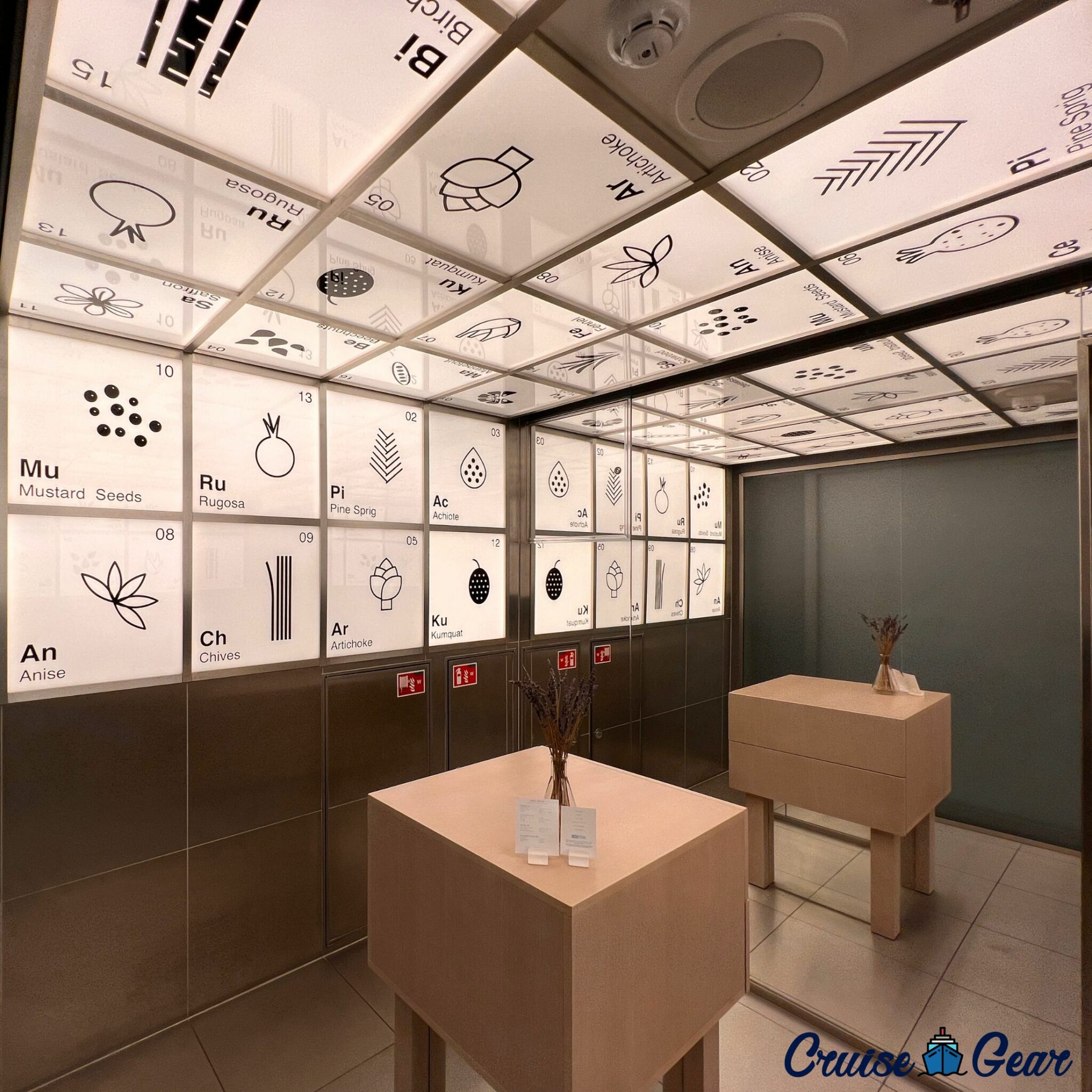 Test Kitchen Virgin Voyages Menu | 2023 | CruiseGear