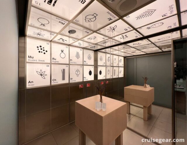 Test Kitchen Virgin Voyages Menu | Cruise Gear