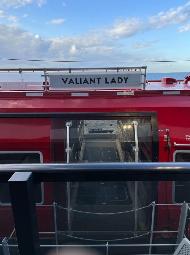 Obstructed View Cruise Cabins - What to Know - Cruise Gear