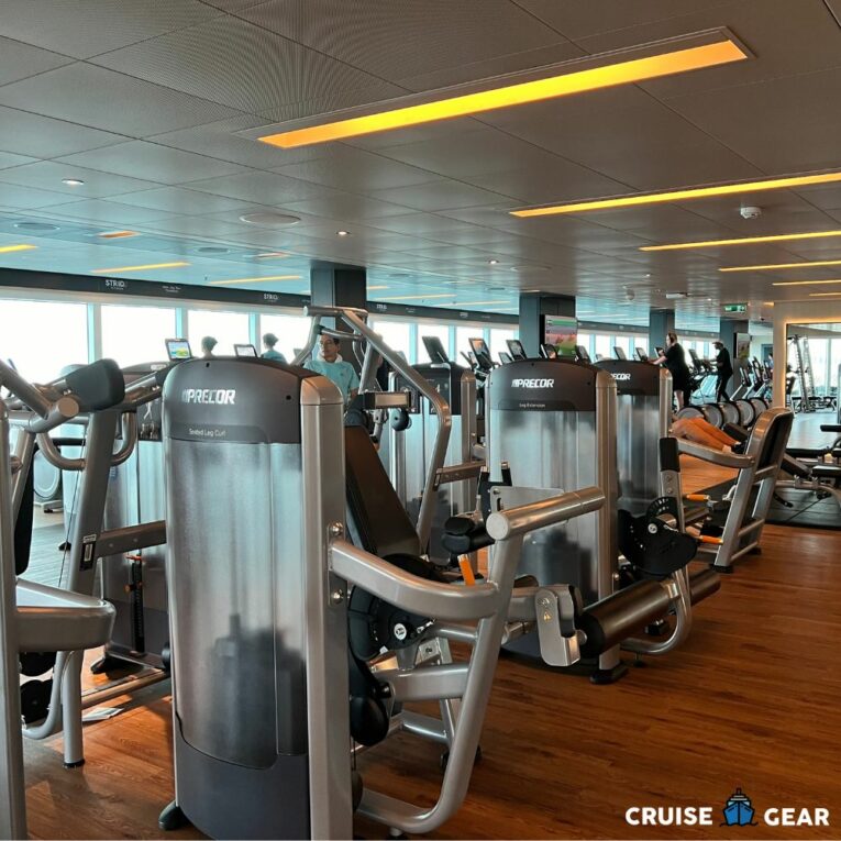 Sky Princess Review: Everything You Need to Know About Our Favorite ...